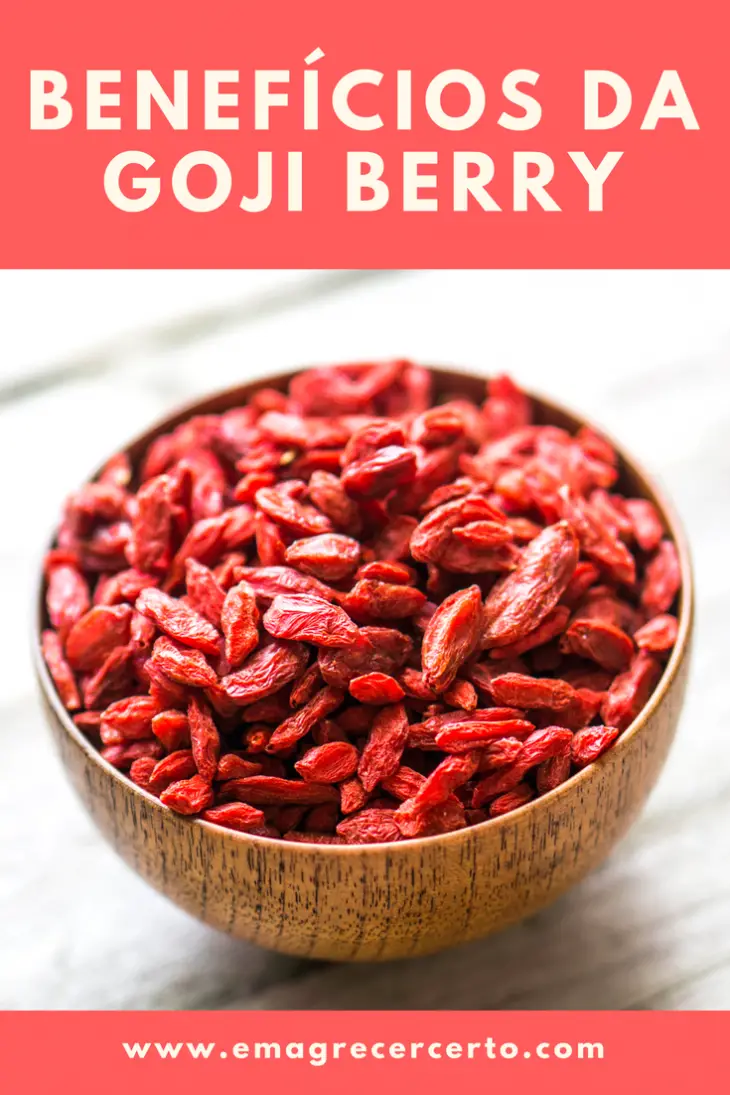Goji Berry: Saiba mais aqui! - Emagrecer Certo® | Receitas saudáveis